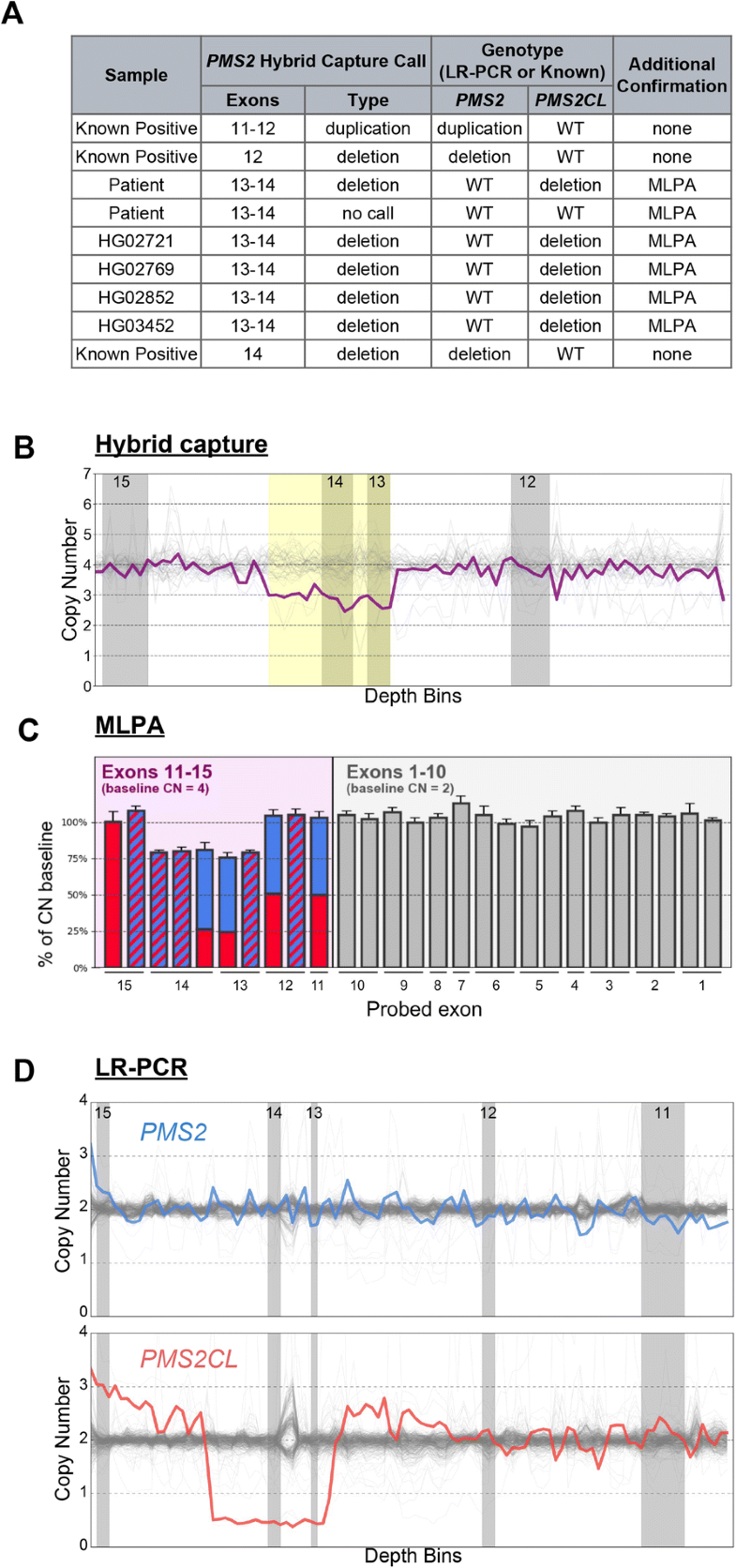 Detecting clinically actionable variants in the 3′ exons of PMS2 via a ...