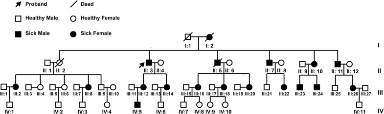 Identification of a novel loss-of-function mutation of the GLA gene in ...