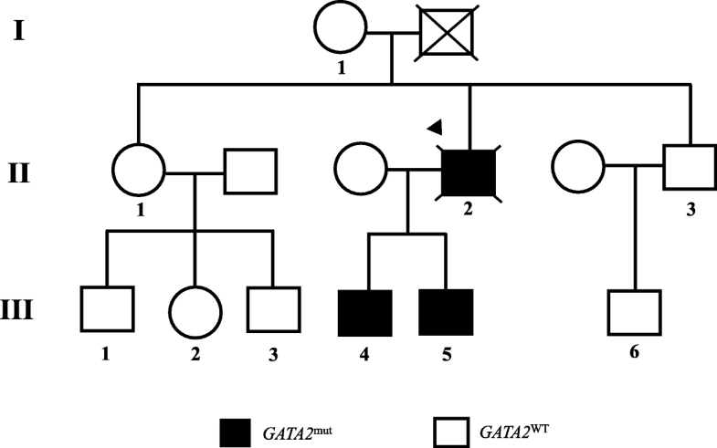 GATA2 mutation in long stand Mycobacterium kansasii infection ...