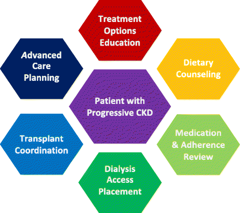 Interdisciplinary care clinics in chronic kidney disease | BMC ...