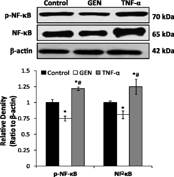 Genistein induces apoptosis of colon cancer cells by reversal of ...