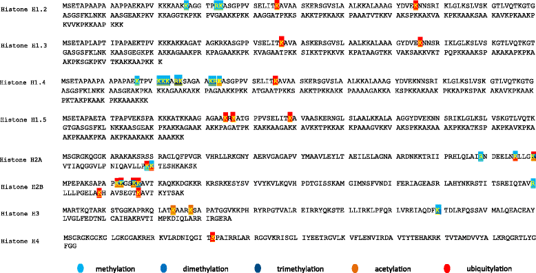 Histone profiling reveals the H1.3 histone variant as a prognostic ...
