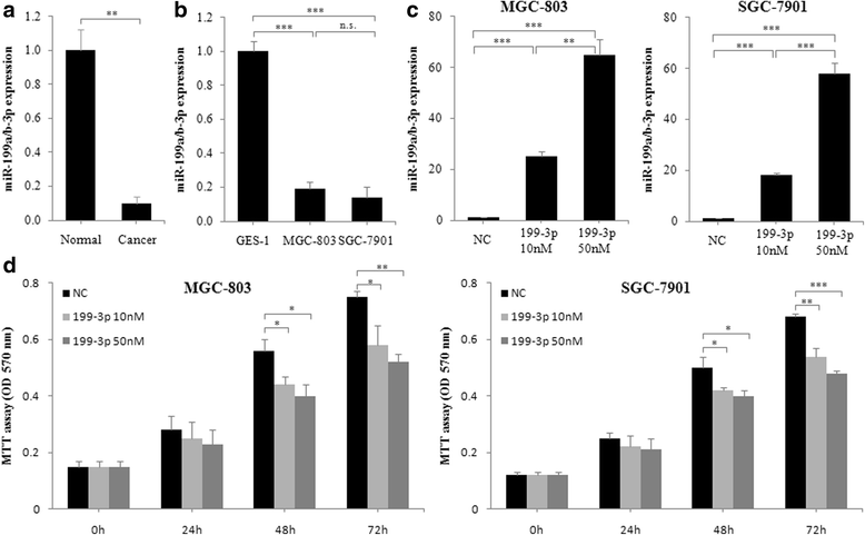 MiR-199a/b-3p inhibits gastric cancer cell proliferation via down ...