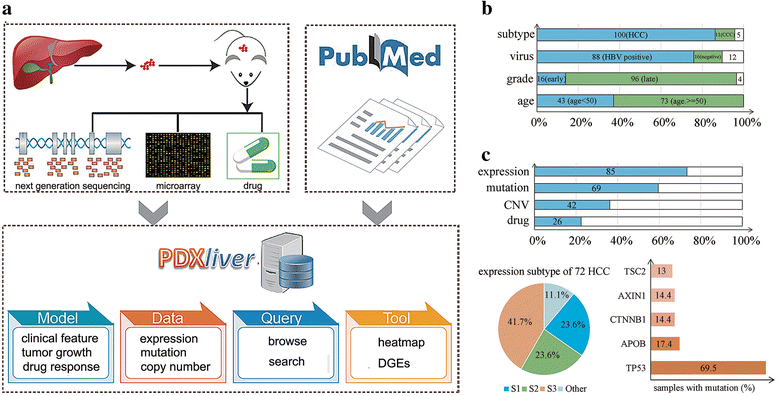 PDXliver: a database of liver cancer patient derived xenograft mouse ...