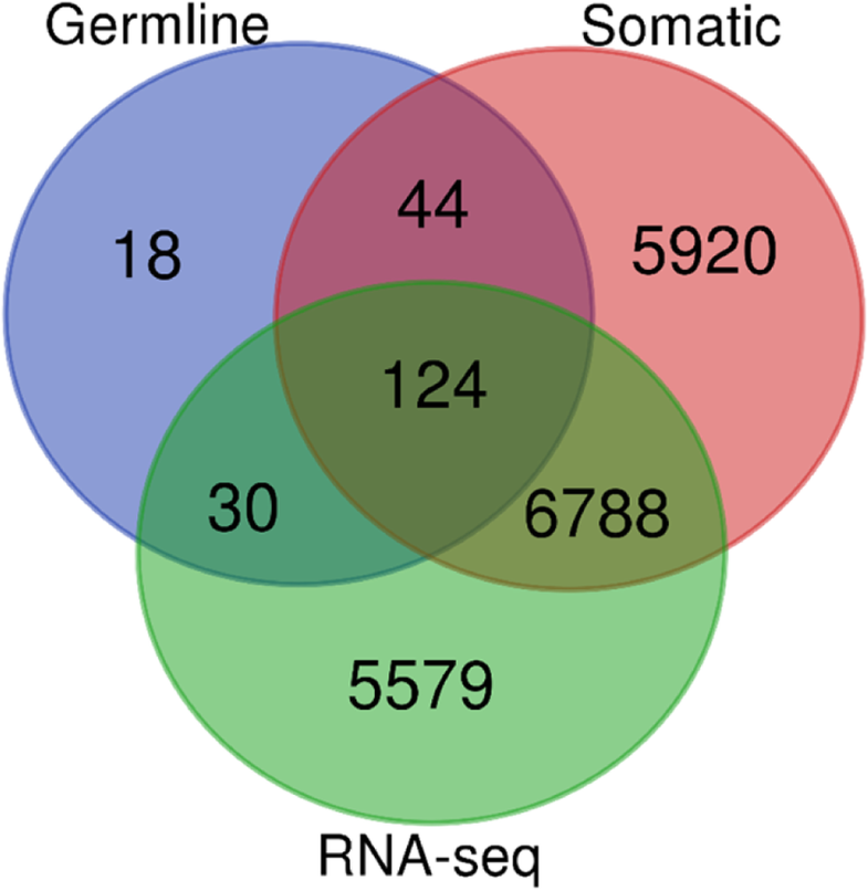 Integrating germline and somatic variation information using genomic ...