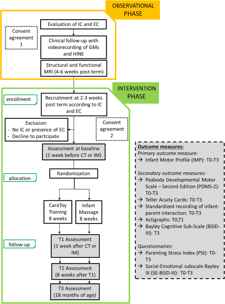 Early intervention at home in infants with congenital brain lesion with ...
