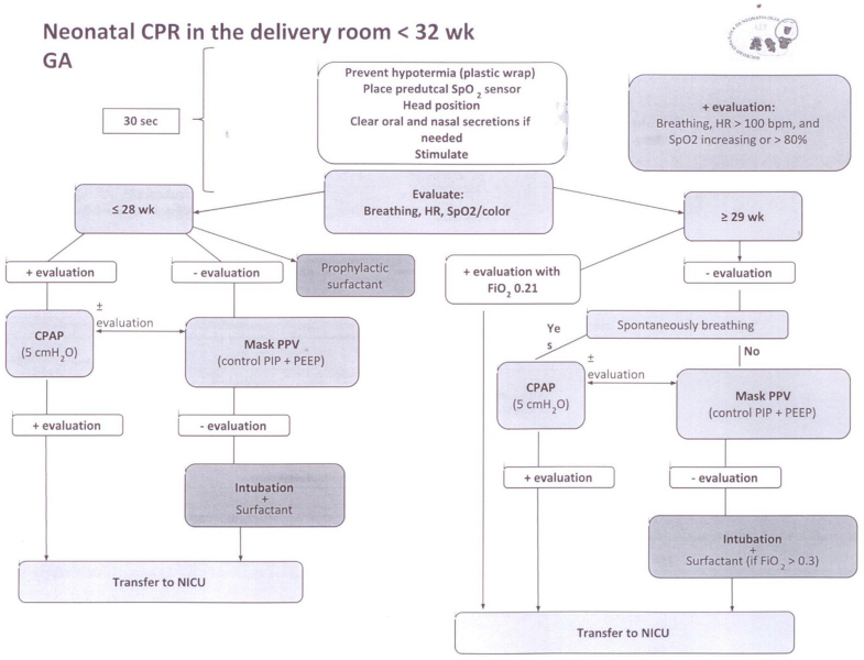 Adherence to the neonatal resuscitation algorithm for preterm infants ...
