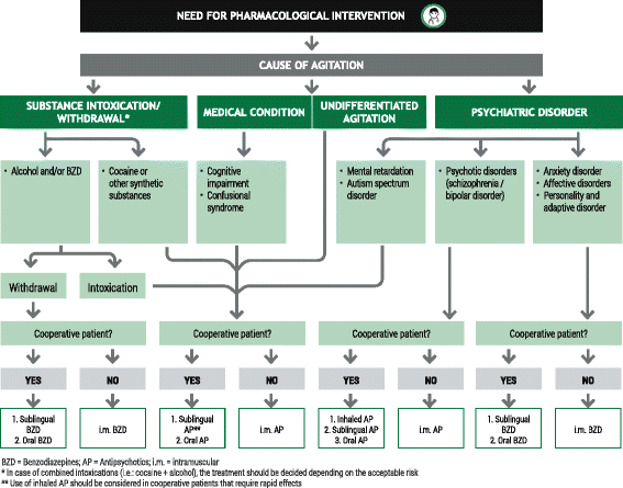Protocol for the management of psychiatric patients with psychomotor ...