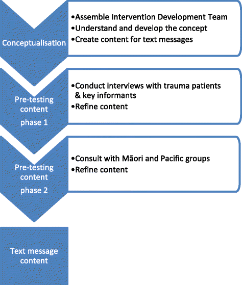 Development of a text message intervention aimed at reducing alcohol ...