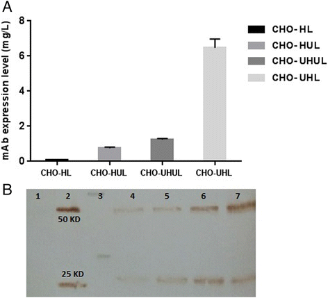 Evaluating the expression profile and stability of different UCOE ...