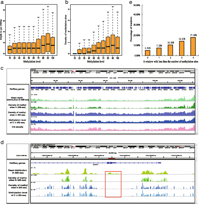 DNA methylome profiling at single-base resolution through bisulfite ...