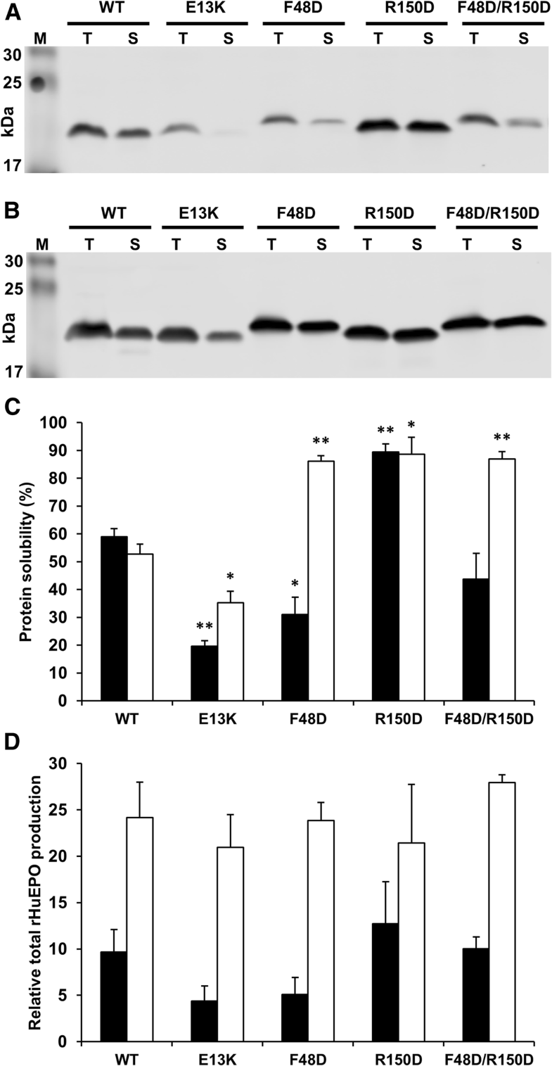 Surface patches on recombinant erythropoietin predict protein ...