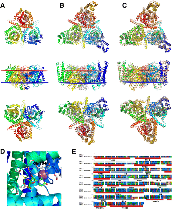 Rosetta Broker for membrane protein structure prediction: concentrative ...