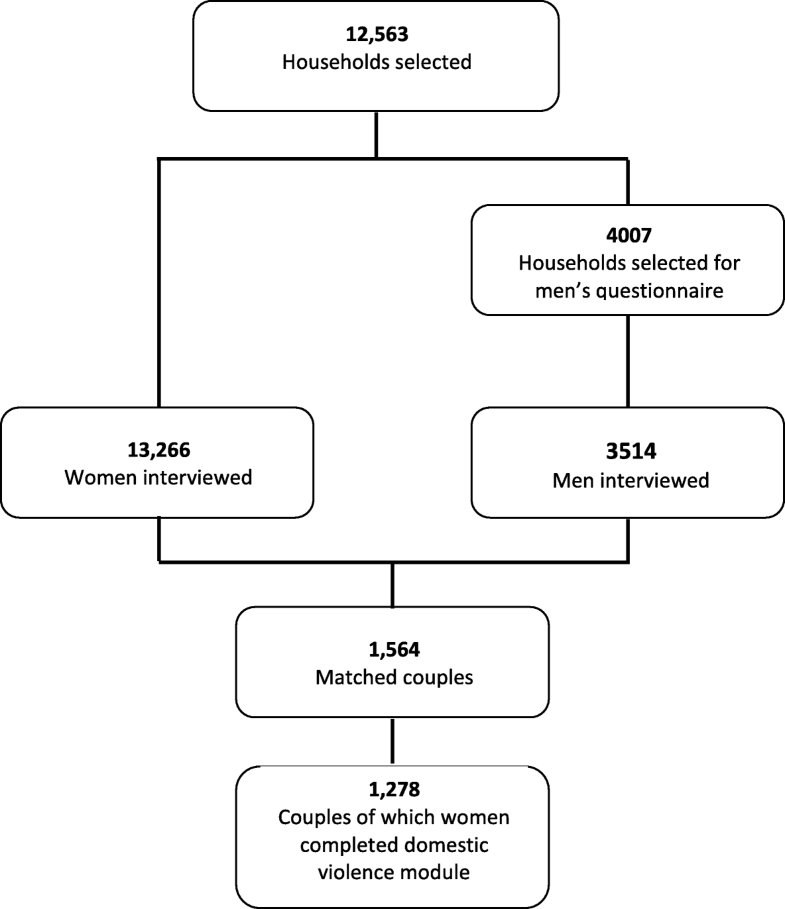 Unequal power relations and partner violence against women in Tanzania: a cross-sectional ...