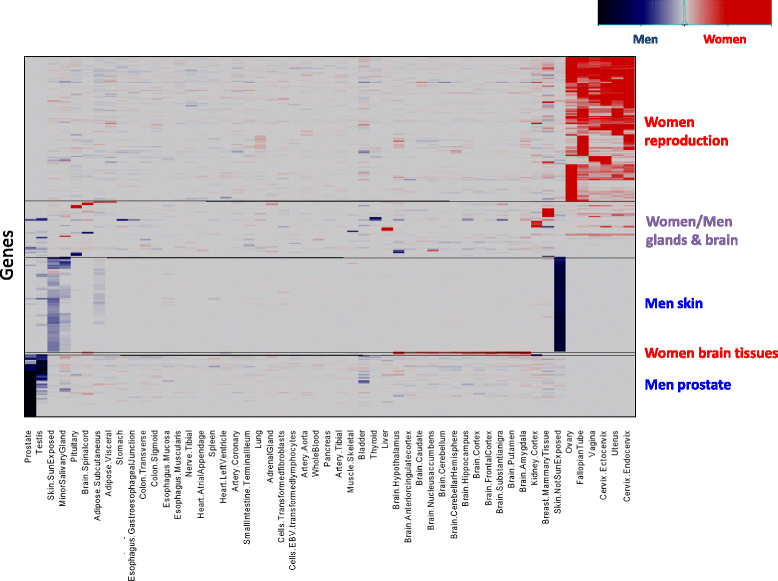 The Landscape Of Sex Differential Transcriptome And Its Consequent