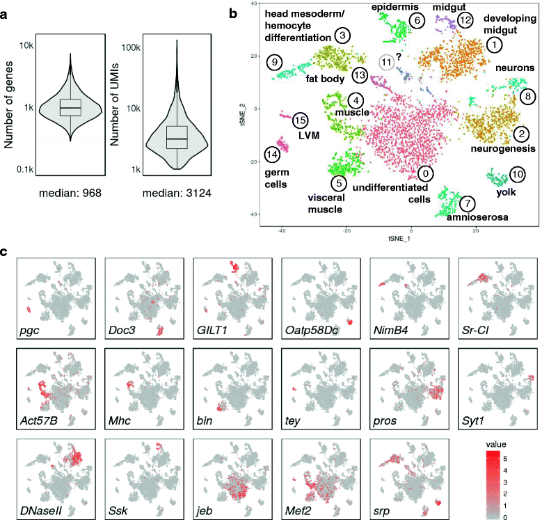 Cell Fixation And Preservation For Droplet Based Single Cell