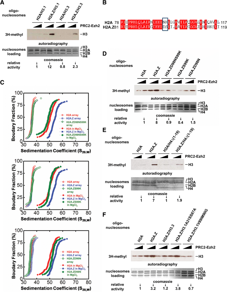 Histone variants H2A.Z and H3.3 coordinately regulate PRC2-dependent H3K27me3 deposition and ...