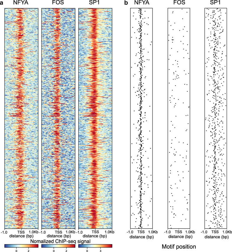 Classifying human promoters by occupancy patterns identifies recurring sequence elements ...