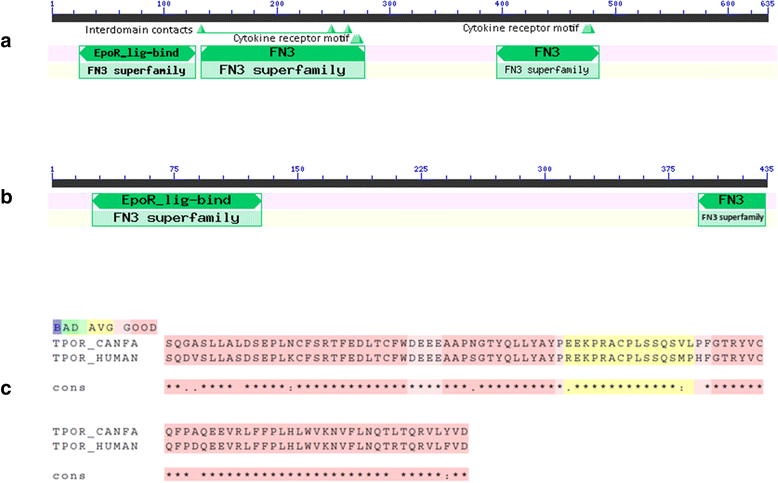Treatment of 5 dogs with immune-mediated thrombocytopenia using ...
