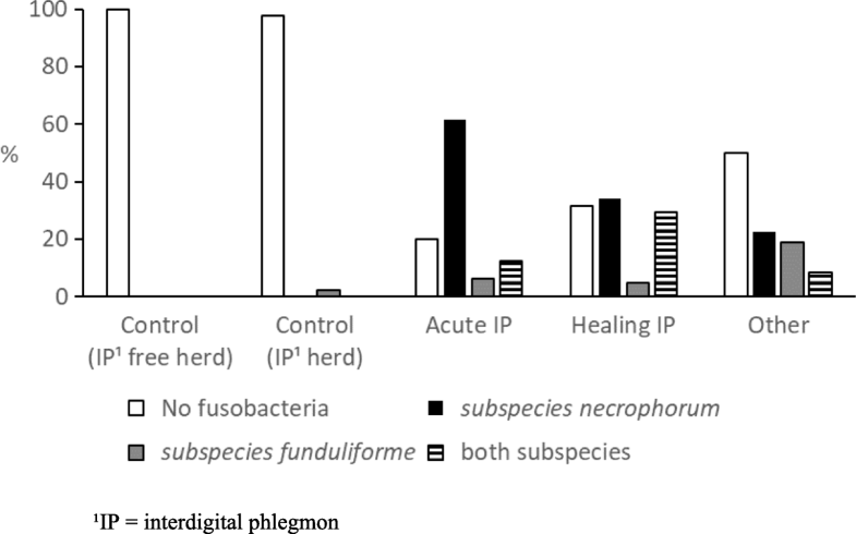 Bacterial species associated with interdigital phlegmon outbreaks in ...