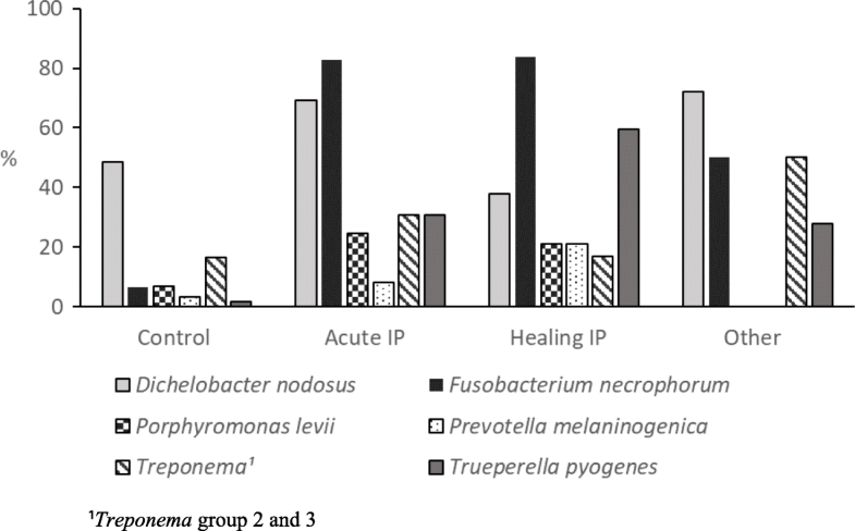 Bacterial species associated with interdigital phlegmon outbreaks in ...