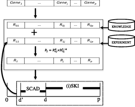 High-dimensional omics data analysis using a variable screening protocol with prior knowledge ...