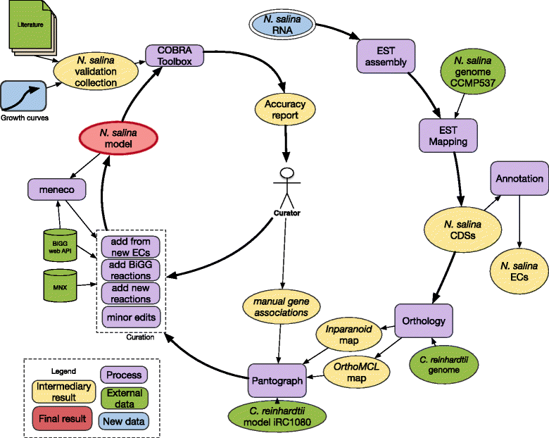 Reconstruction of the microalga Nannochloropsis salina genome-scale ...
