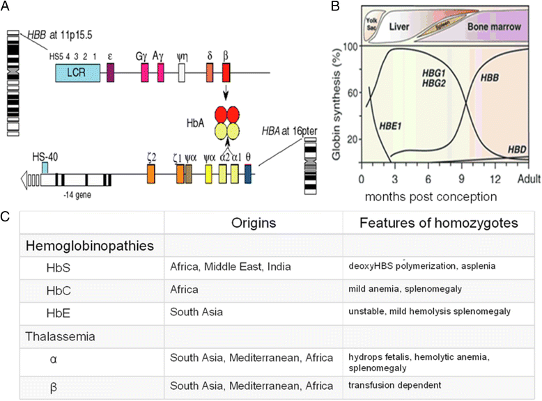 Genomic approaches to identifying targets for treating β ...