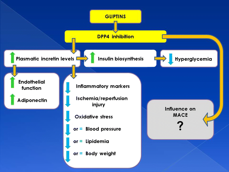 Antidiabetic treatment with gliptins: focus on cardiovascular effects and outcomes ...