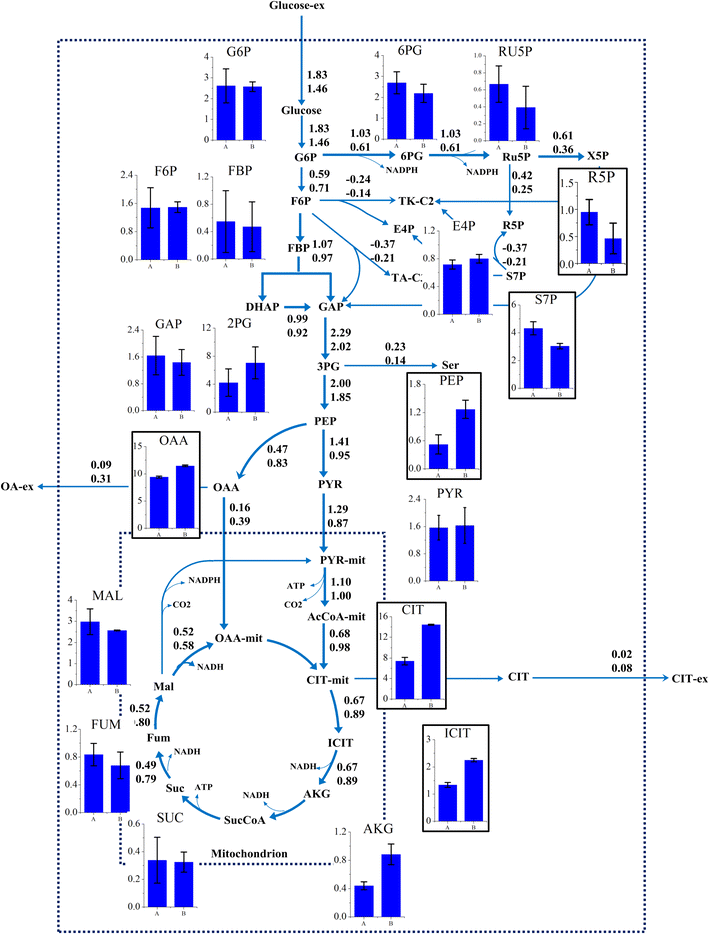 Integrated isotope-assisted metabolomics and 13C metabolic flux analysis reveals metabolic flux ...