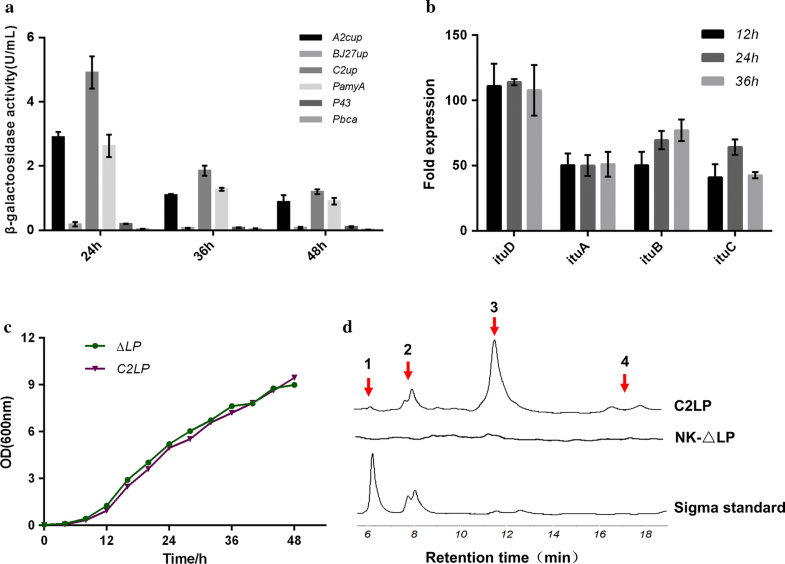 Enhanced production of antifungal lipopeptide iturin A by Bacillus ...