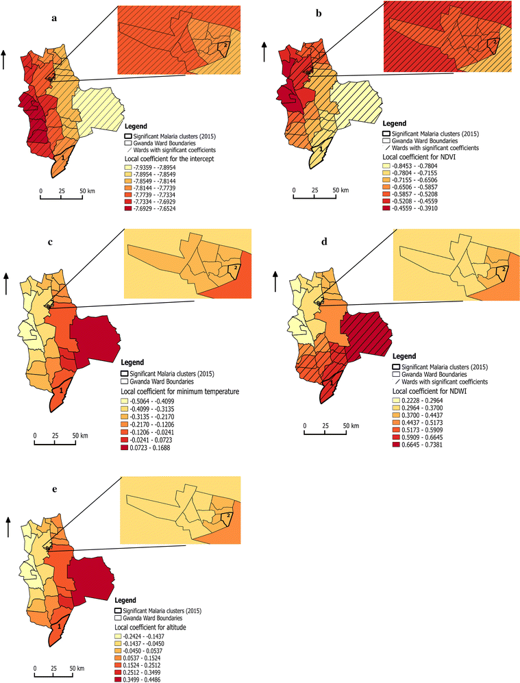 Micro-spatial distribution of malaria cases and control strategies at ...