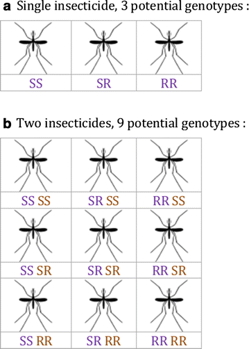 Insecticide resistance evolution with mixtures and sequences: a model ...