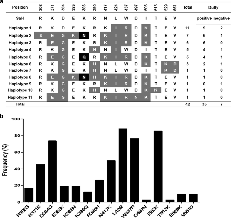 Diversity pattern of Duffy binding protein sequence among Duffy ...