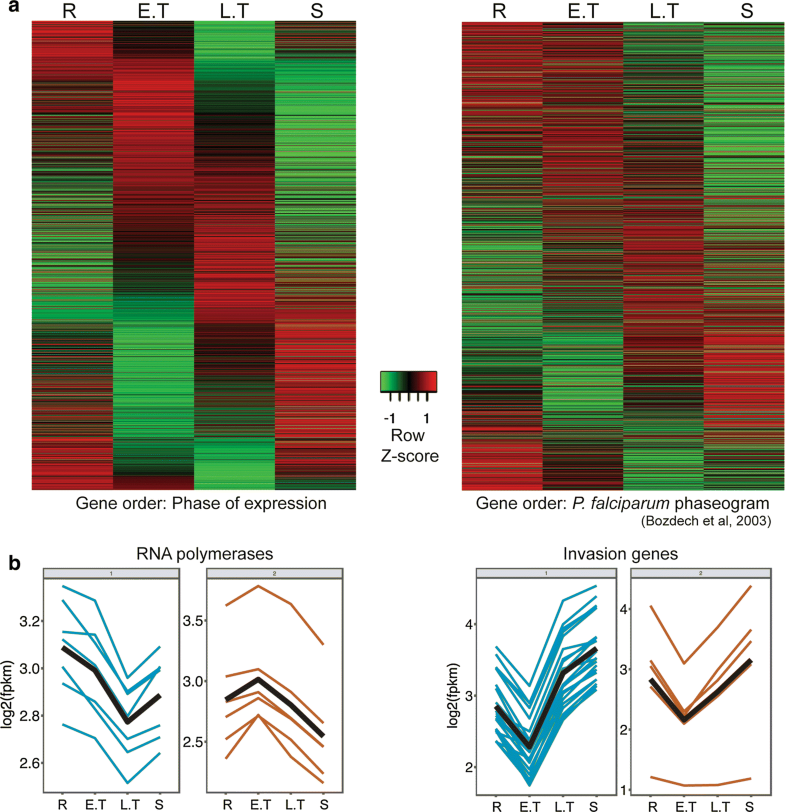 A fast and cost-effective microsampling protocol incorporating reduced ...