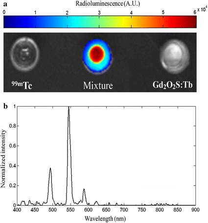 Gamma rays excited radioluminescence tomographic imaging | BioMedical ...