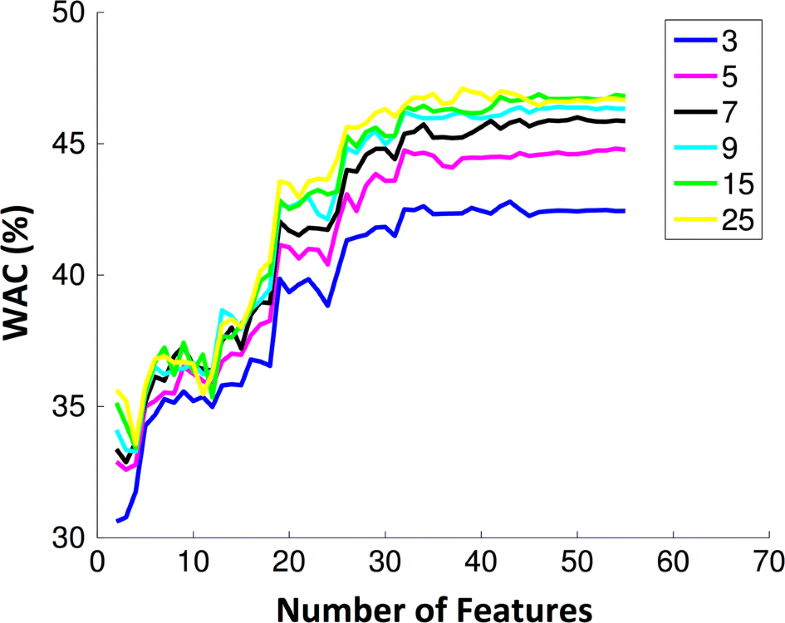 A knowledge discovery methodology from EEG data for cyclic alternating pattern detection ...