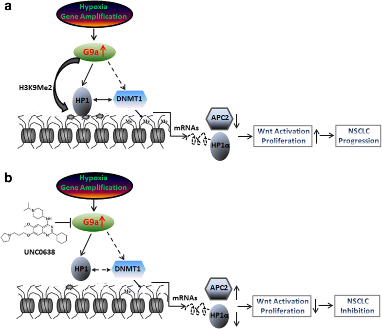 Targeting histone methyltransferase G9a inhibits growth and Wnt signaling pathway by ...