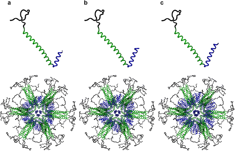 Design and optimization of peptide nanoparticles | Journal of ...