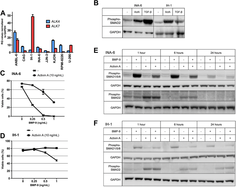 Activin A inhibits BMP-signaling by binding ACVR2A and ACVR2B ...