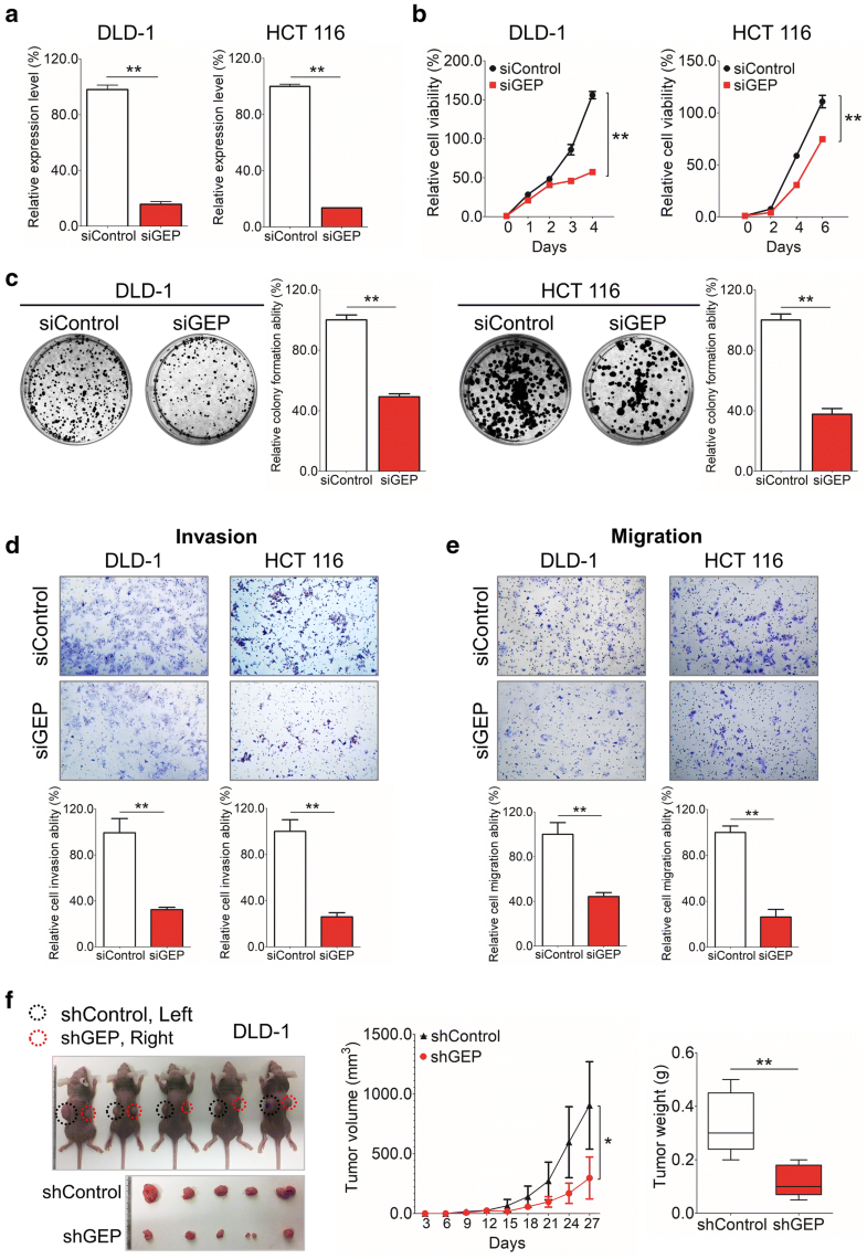Granulin epithelin precursor promotes colorectal carcinogenesis by ...