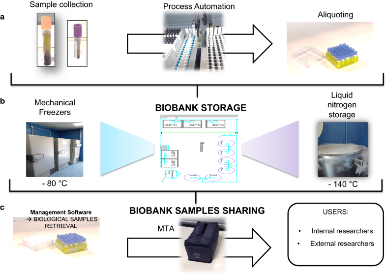 Biobanking in health care: evolution and future directions | Journal of Translational Medicine ...