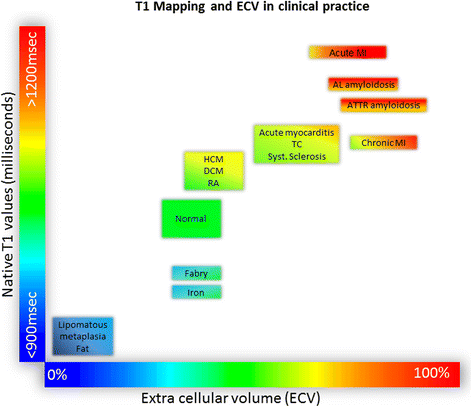 Cardiac T1 Mapping and Extracellular Volume (ECV) in clinical practice ...