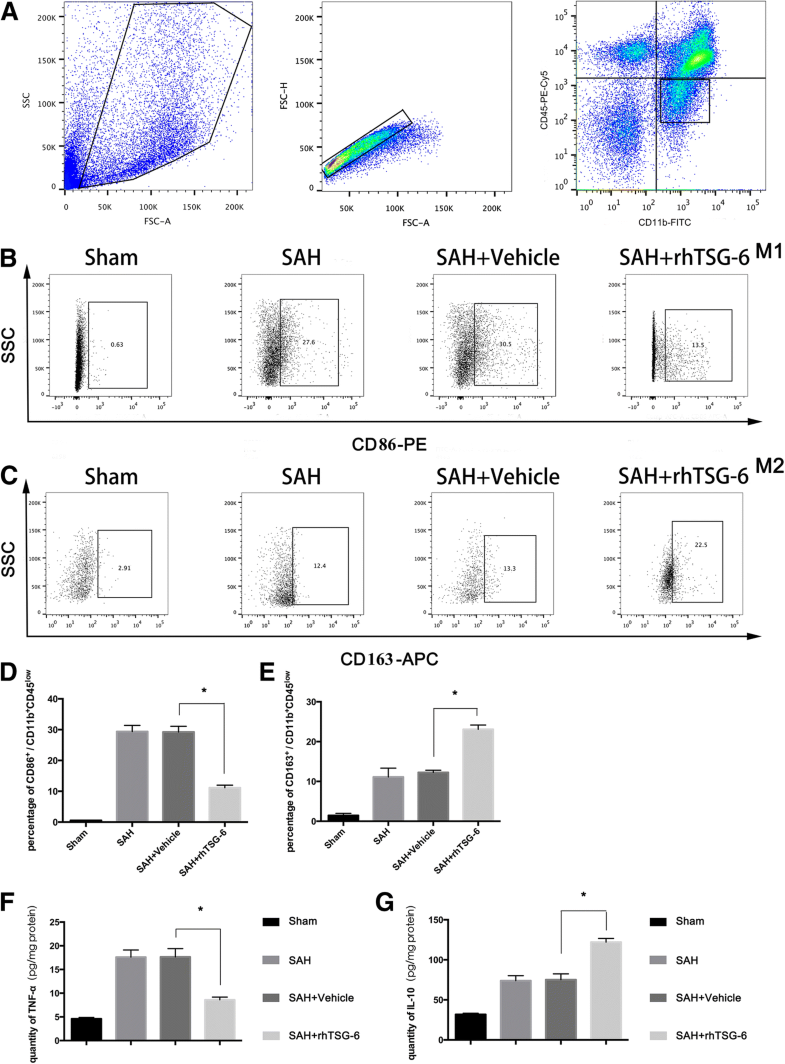 TSG-6 attenuates inflammation-induced brain injury via modulation of ...