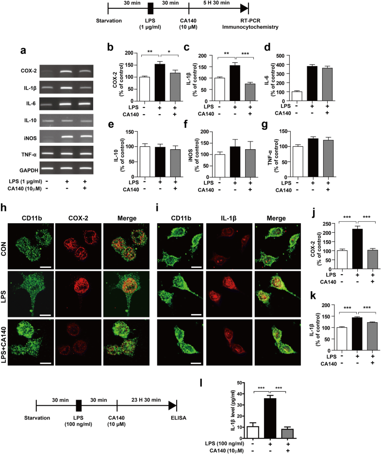 The small molecule CA140 inhibits the neuroinflammatory response in ...