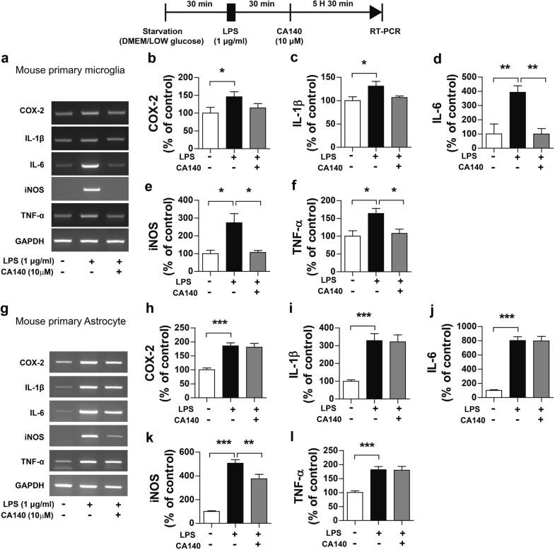 The small molecule CA140 inhibits the neuroinflammatory response in ...