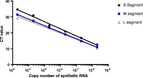 Quantification and kinetics of viral RNA transcripts produced in ...