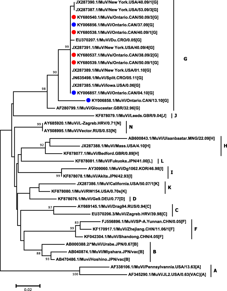 Laboratory testing and phylogenetic analysis during a mumps outbreak in ...