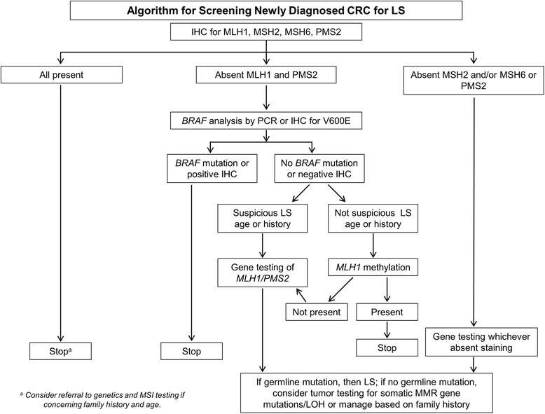 Molecular genetics of microsatellite-unstable colorectal cancer for ...
