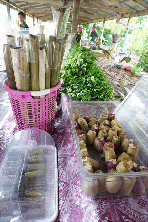Traps as treats: a traditional sticky rice snack persisting in rapidly ...